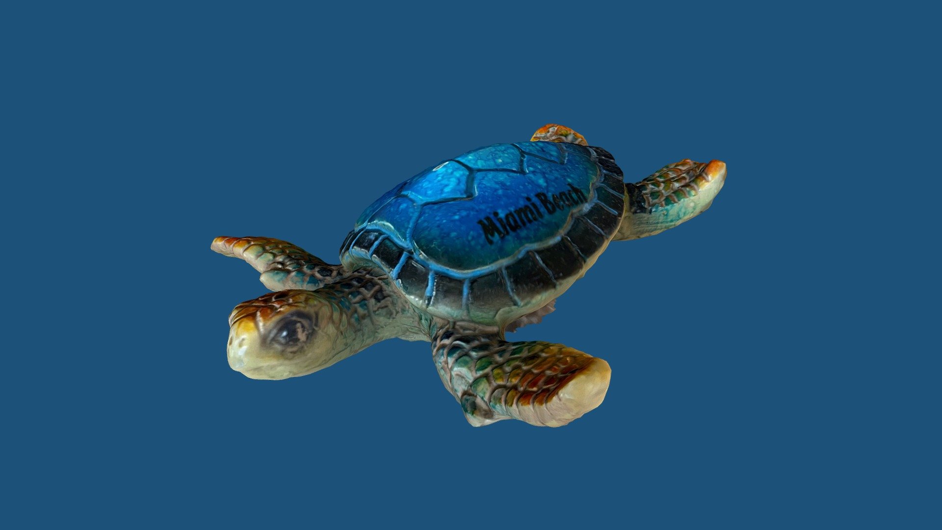 Sea Turtle - Buy Royalty Free 3D model by Studious Studios (@Studious ...