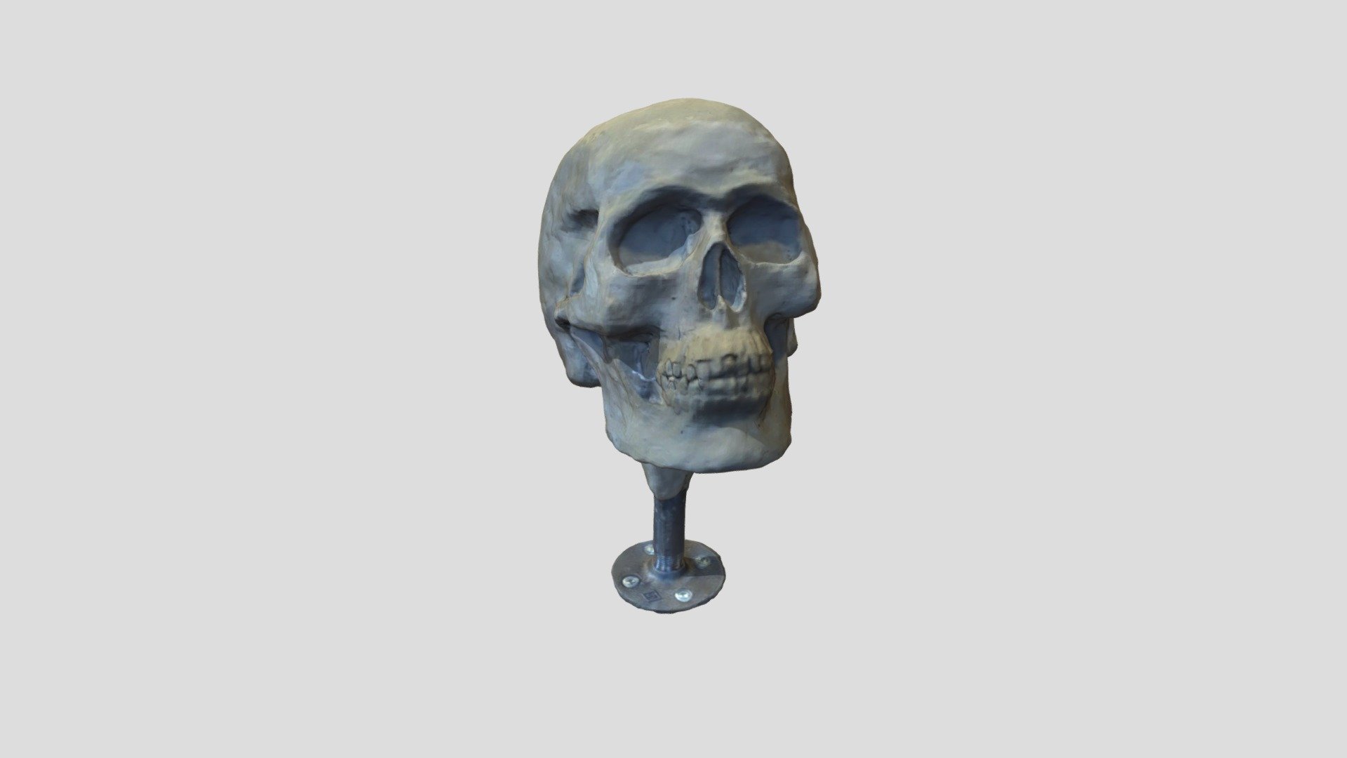 Life-sized Clay Skull Sculpture - 3D model by SilverbackCT (@giering.m ...