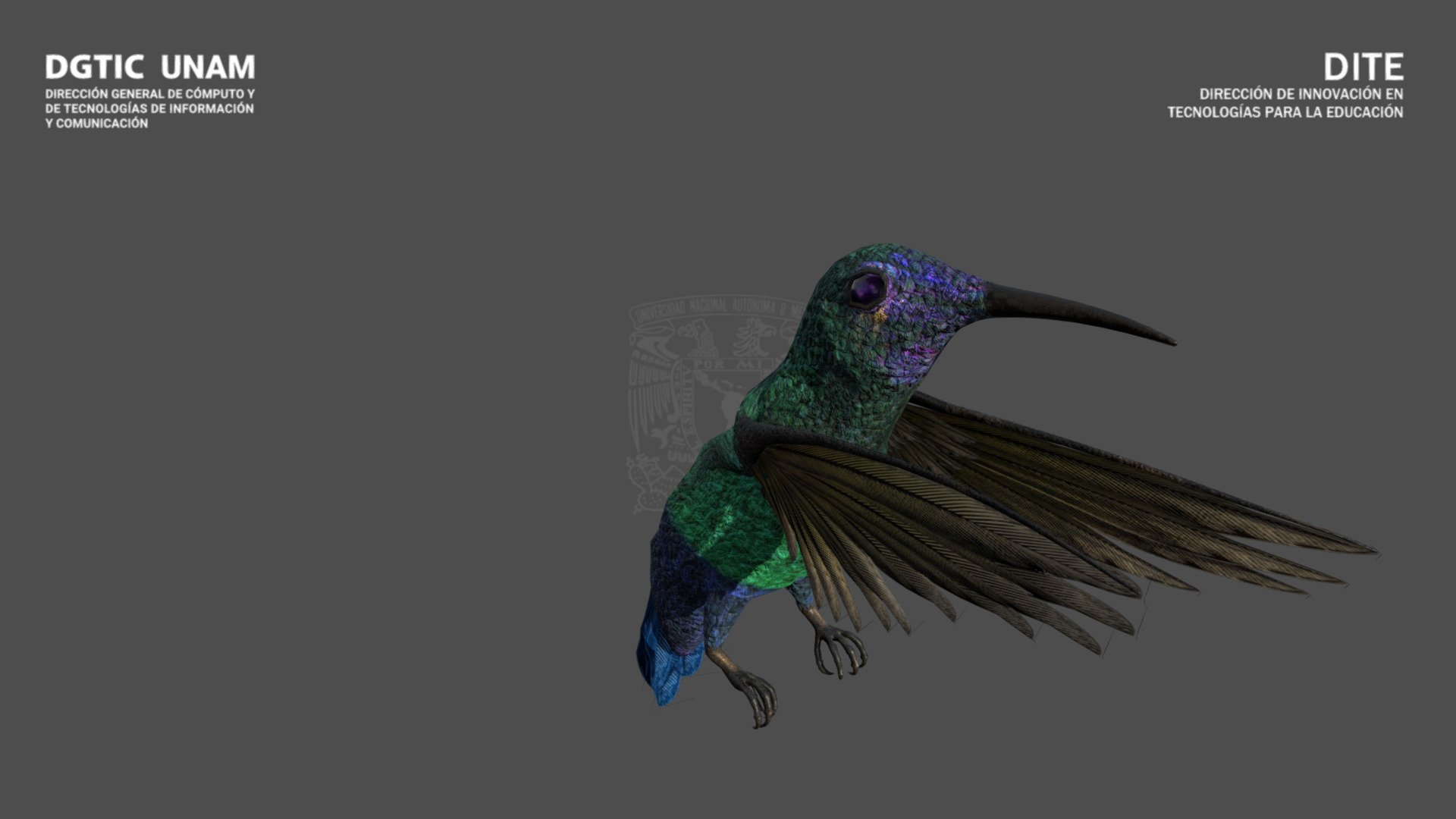 Colibrí - 3D model by Colección de modelos 3d (@DRDE_UNAM) [20aaa05 ...