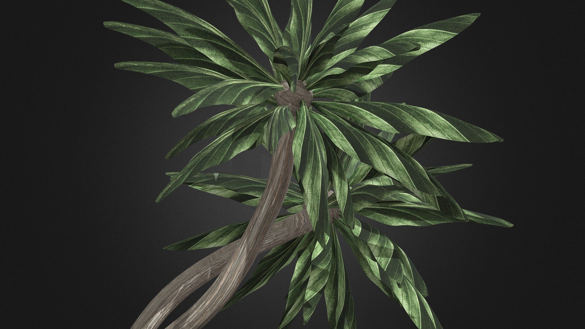 2 Palms - Buy Royalty Free 3D model by Isaak_ME [20abc0c] - Sketchfab Store