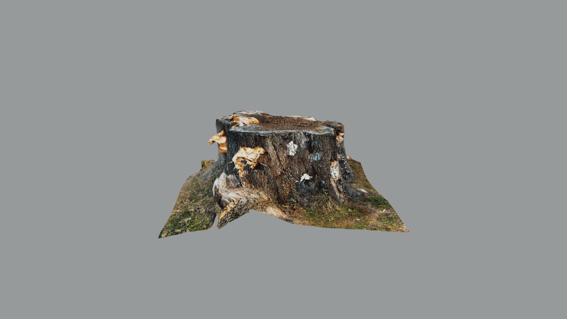 Tree Stump - Download Free 3D model by armpitpete [20adb1a] - Sketchfab