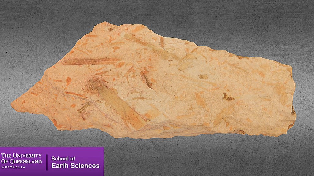 Sedimentary Structures - A 3D model collection by nate_siddle (@nate ...