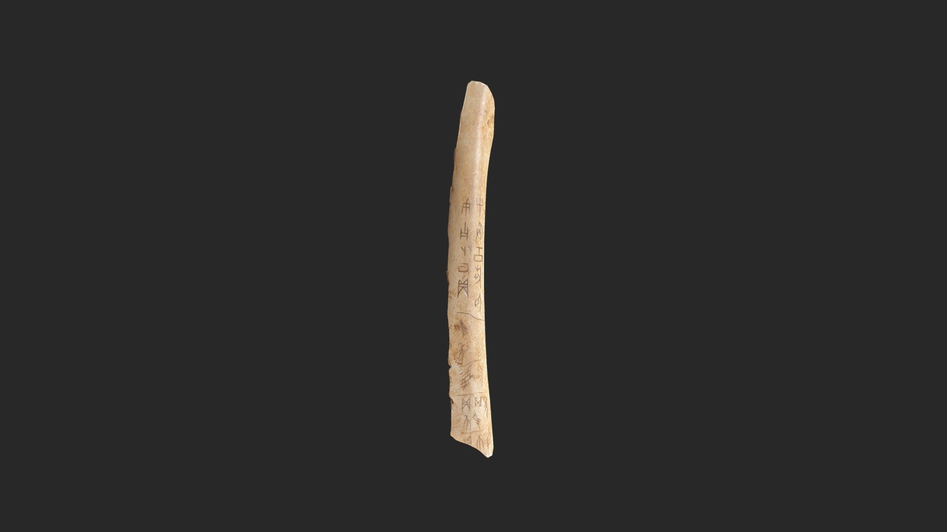Chinese Oracle Bones, MS-CHI-BONES-CUL-00030 - 3D model by Cambridge ...