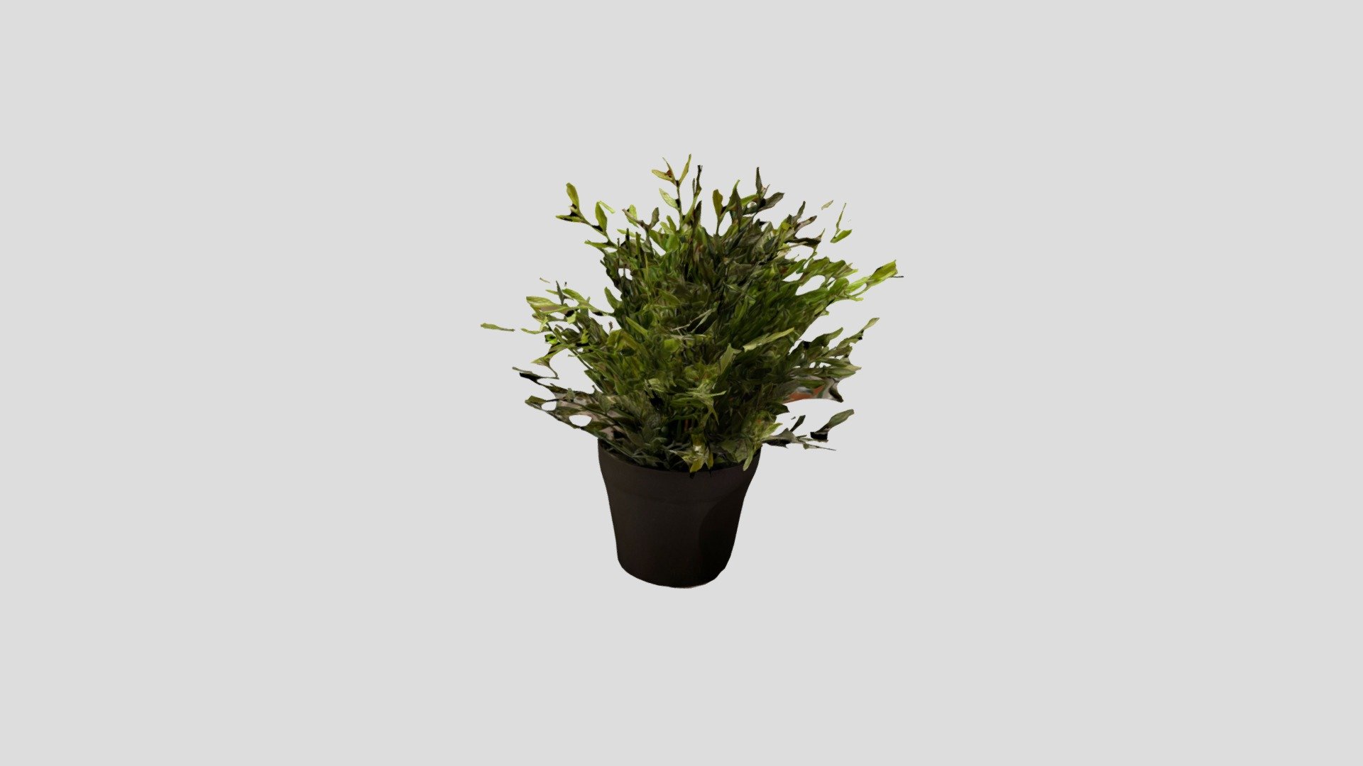 Plastic plant - Download Free 3D model by Gustav_capture [20b47ed ...