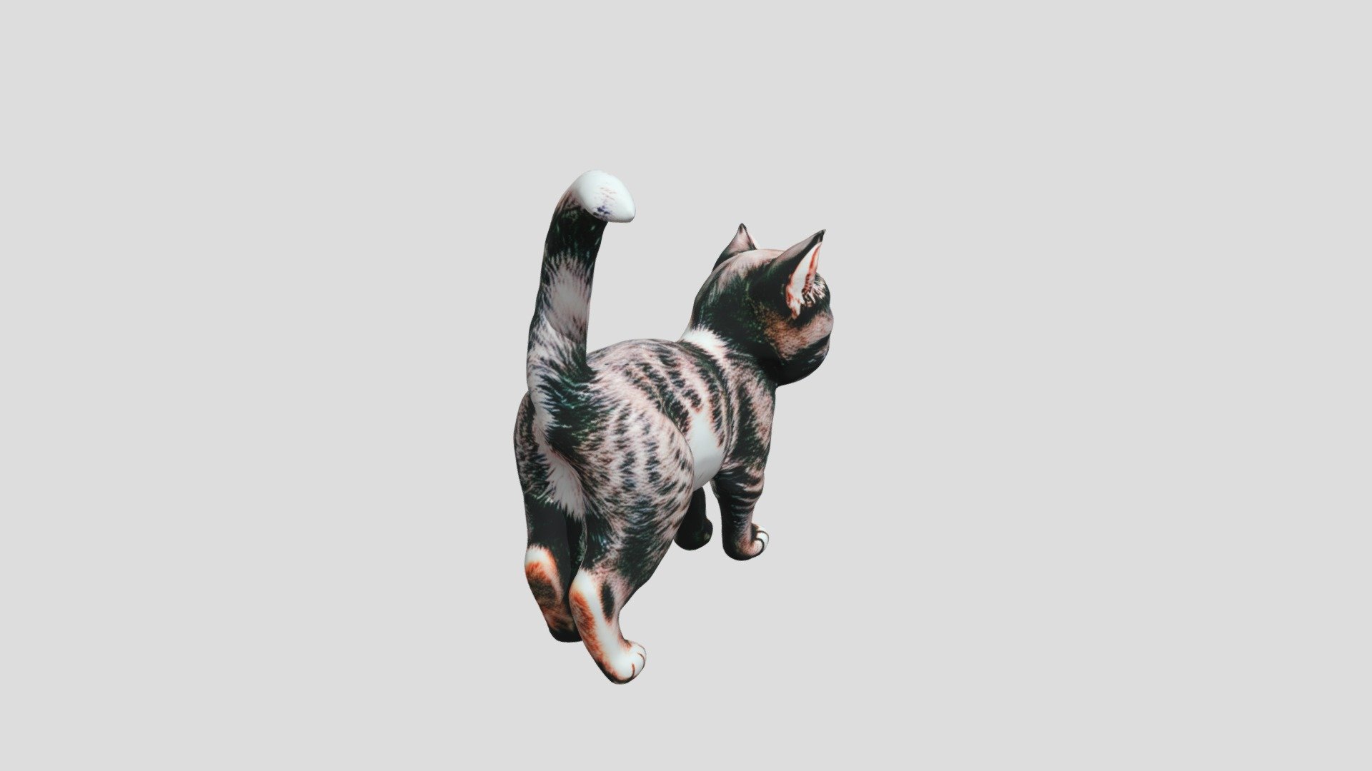 котёнок, kitten - Download Free 3D model by usp05 [20b7cfc] - Sketchfab