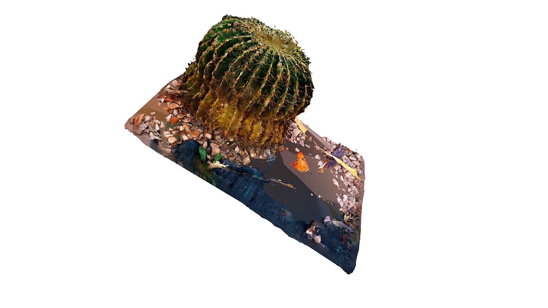 Cactus Final-FDestruels - Download Free 3D model by fdestruels [20bc6fb ...