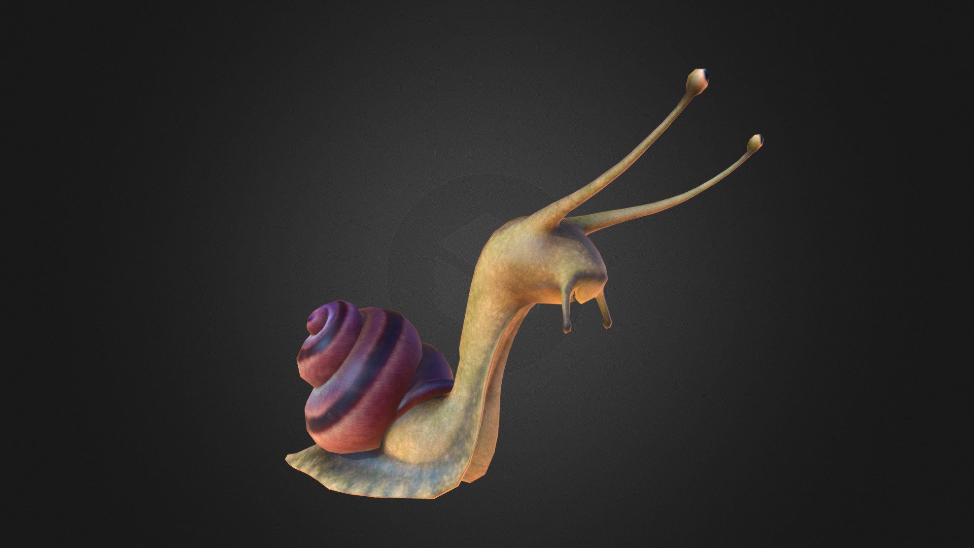 Snail - 3D model by paoletti.lc [20c0186] - Sketchfab