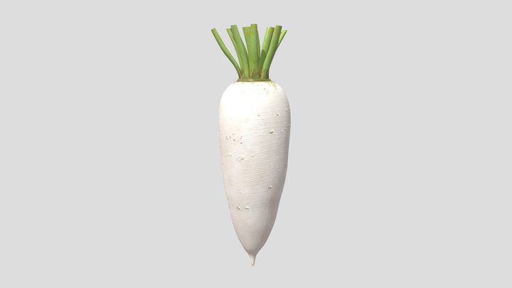 Radish 3D models - Sketchfab