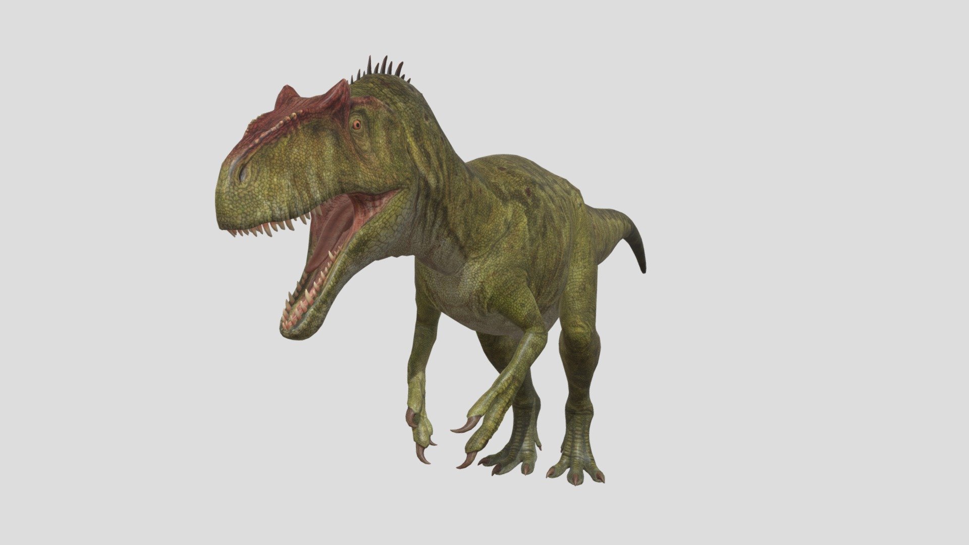 Allosaurus - Download Free 3D model by Modbuff (@CGreature) [20cb5c9 ...