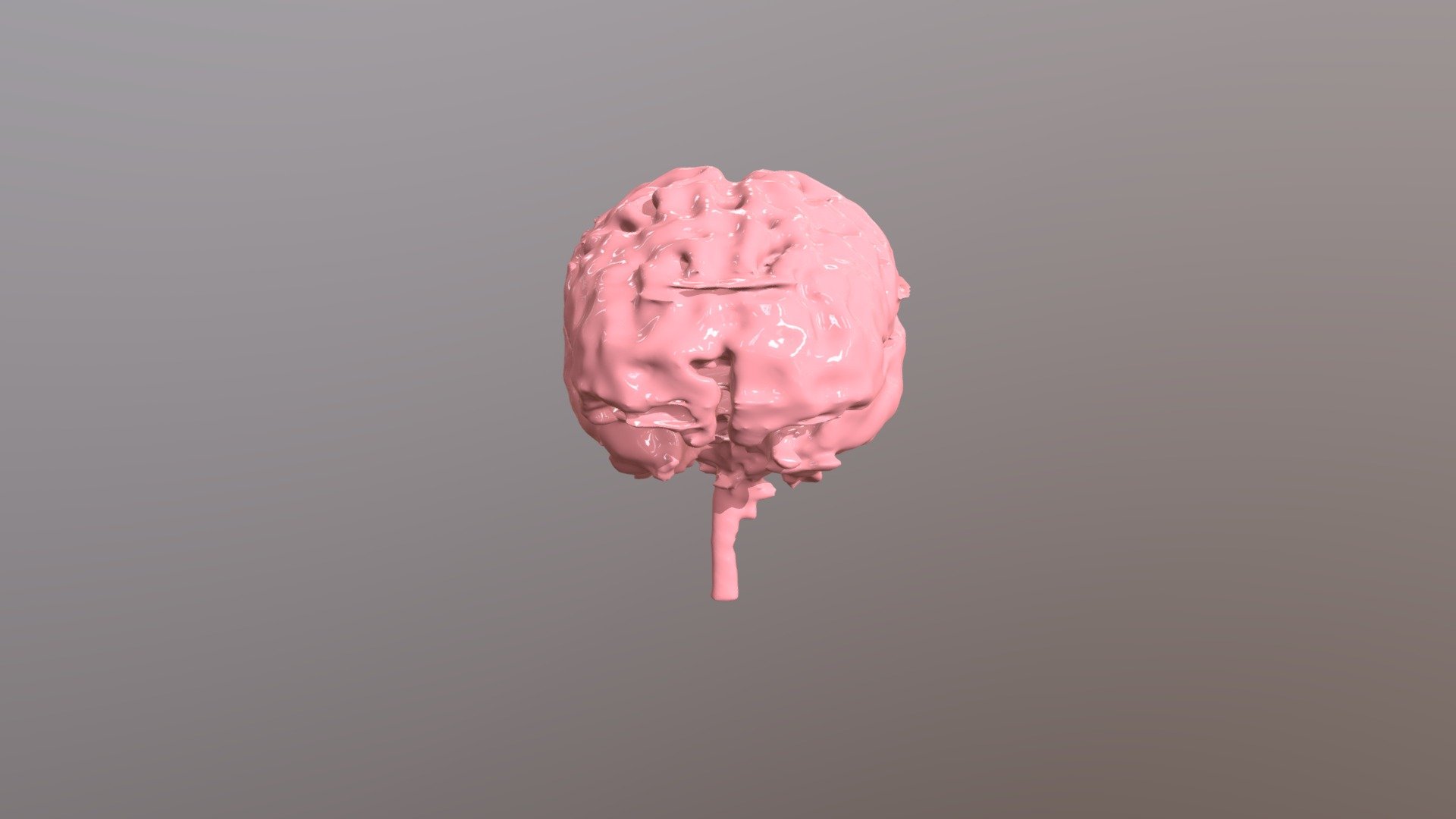Segmentation Brain - 3D model by SamF [20cce6d] - Sketchfab