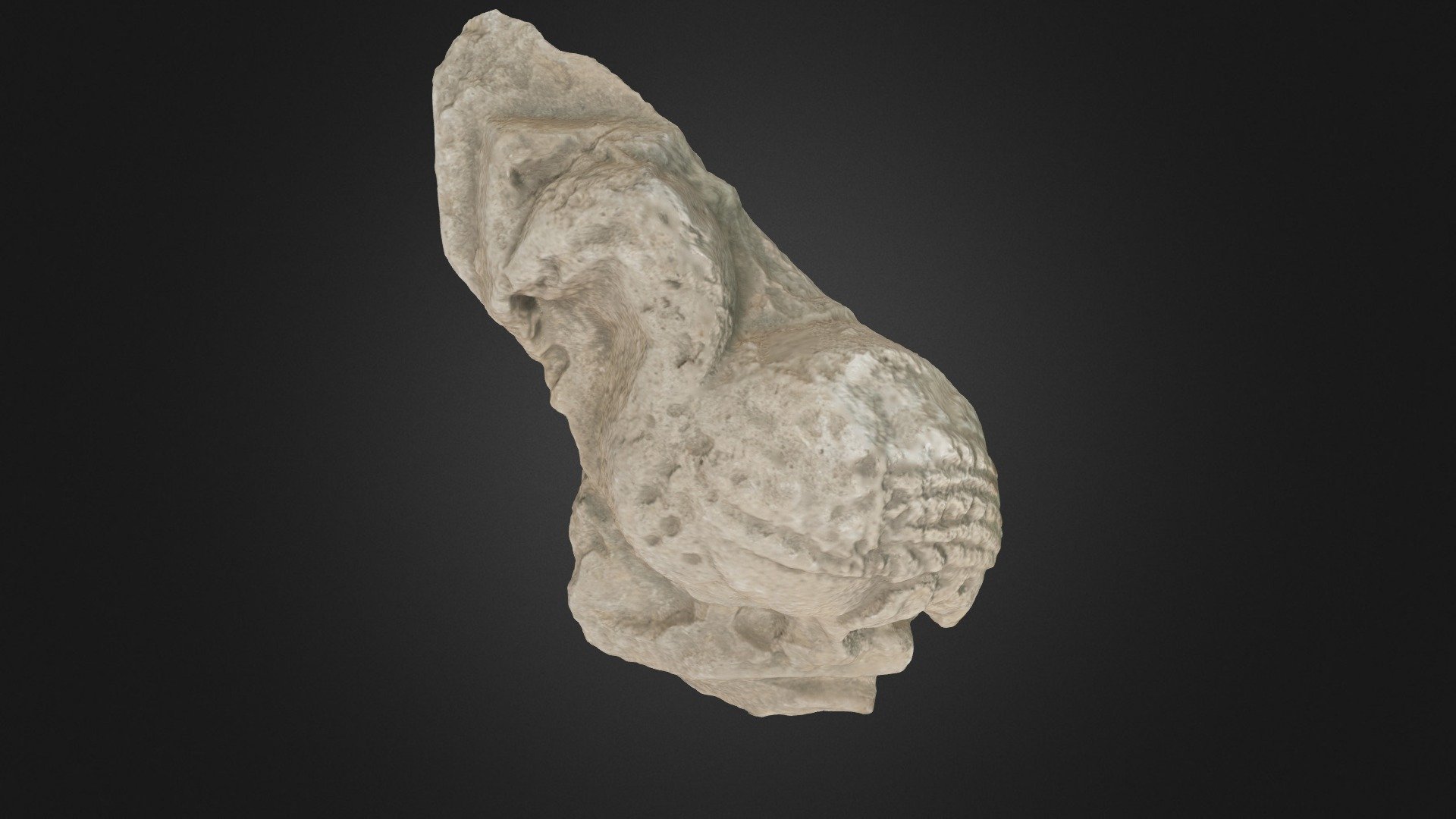 Chal Tarkhan Bird - 3D model by alexbrey [20d2ab8] - Sketchfab