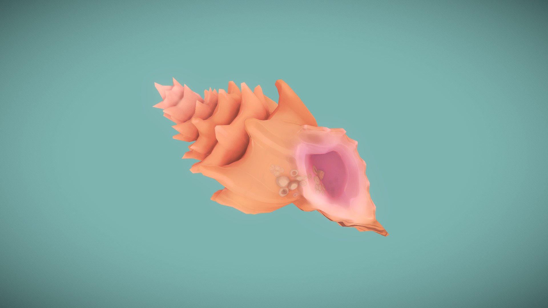 Conch Shell - Download Free 3D model by pigeon (@regularpigeon ...