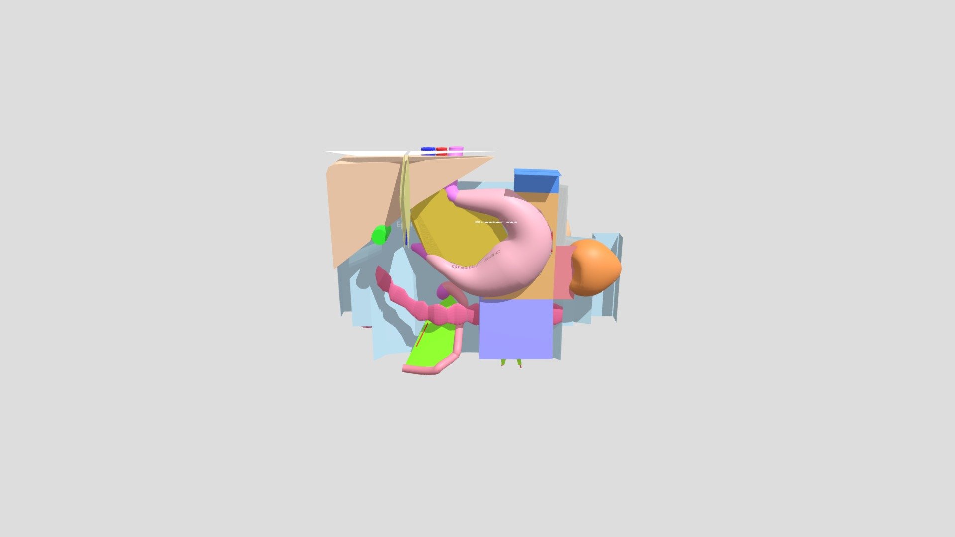Peritoneum Low-poly Demo - 3D model by VivekAnatomy [20d79d1] - Sketchfab
