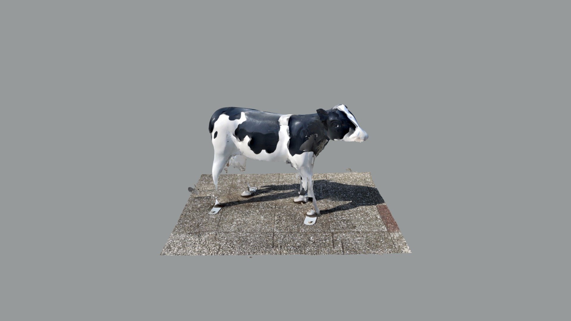 Model of a calf - Download Free 3D model by iwamah1 [20da0e2] - Sketchfab