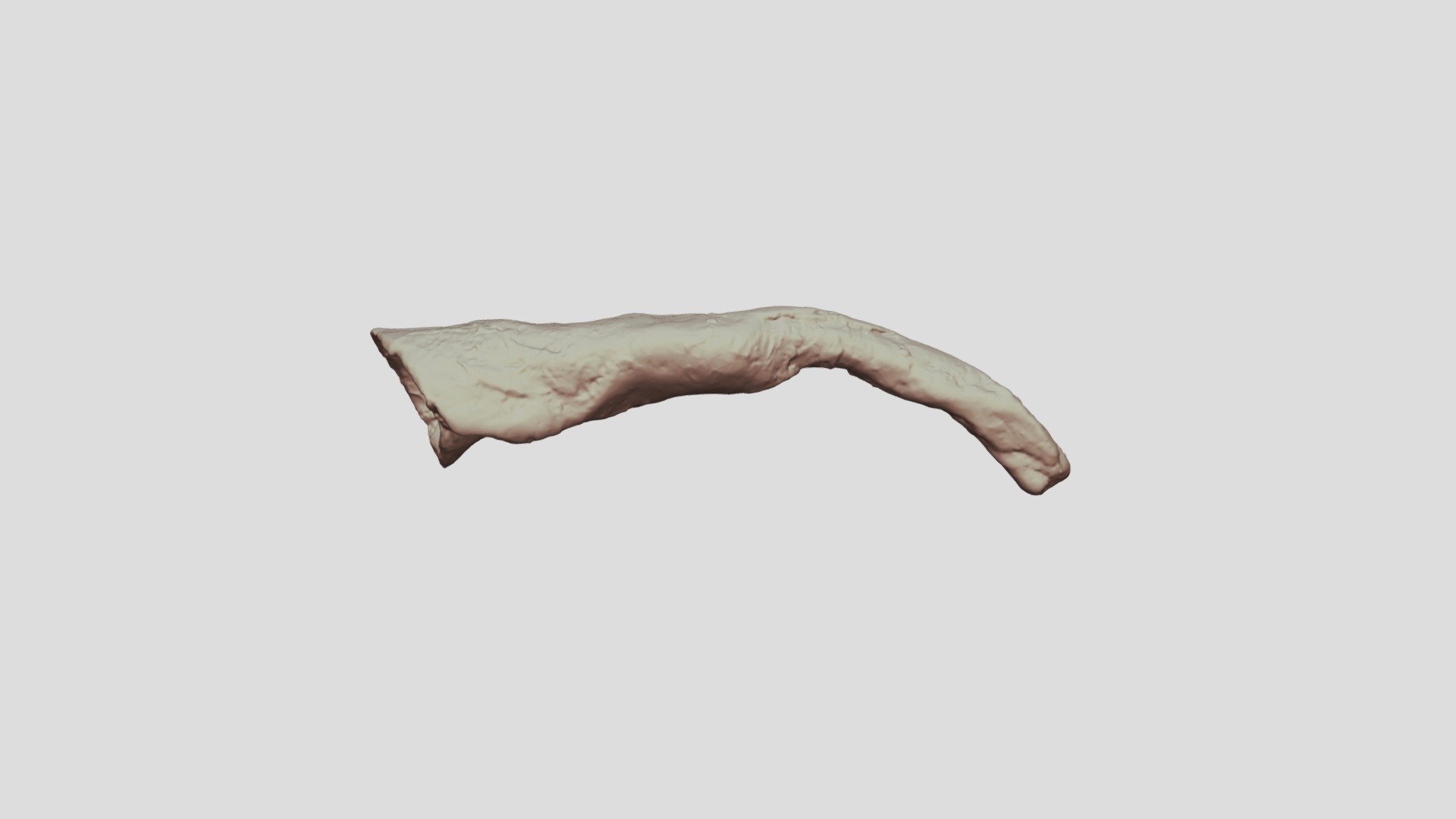 Vanessaflowerstem 3d Model By Capture It In 3d Capturemein3d