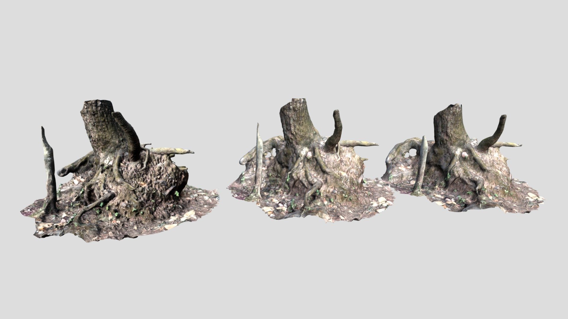 Tree Photo-scan Re-Typologies Low poly Mid poly - Download Free 3D ...