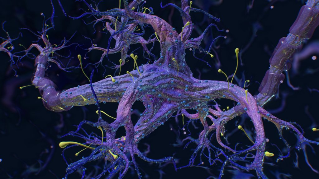 Physiology and Anatomy - A 3D model collection by clayton.fox - Sketchfab