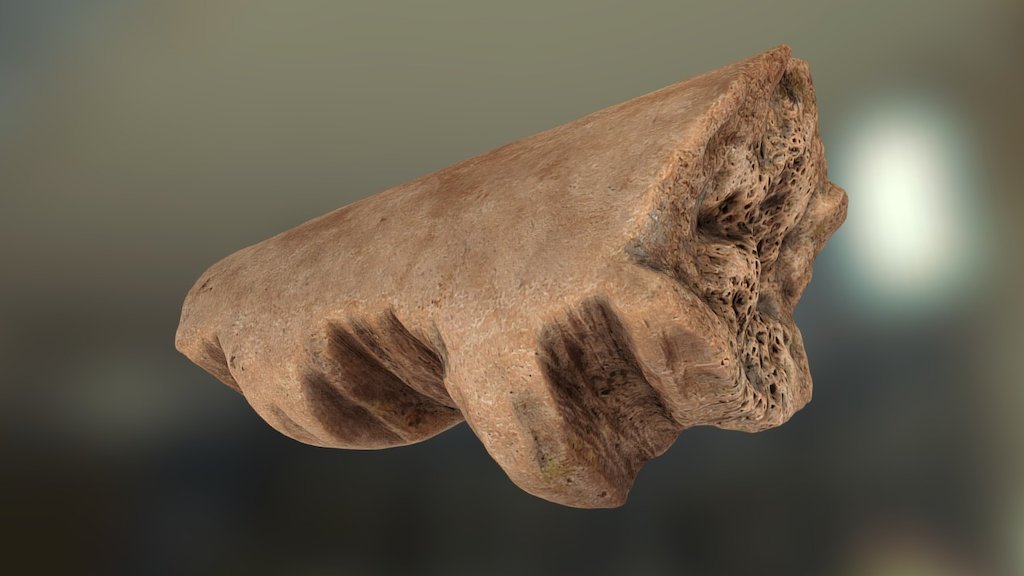 Antler Tool Mid Section - 3D model by Matthew Thomas - Archaeology3D ...