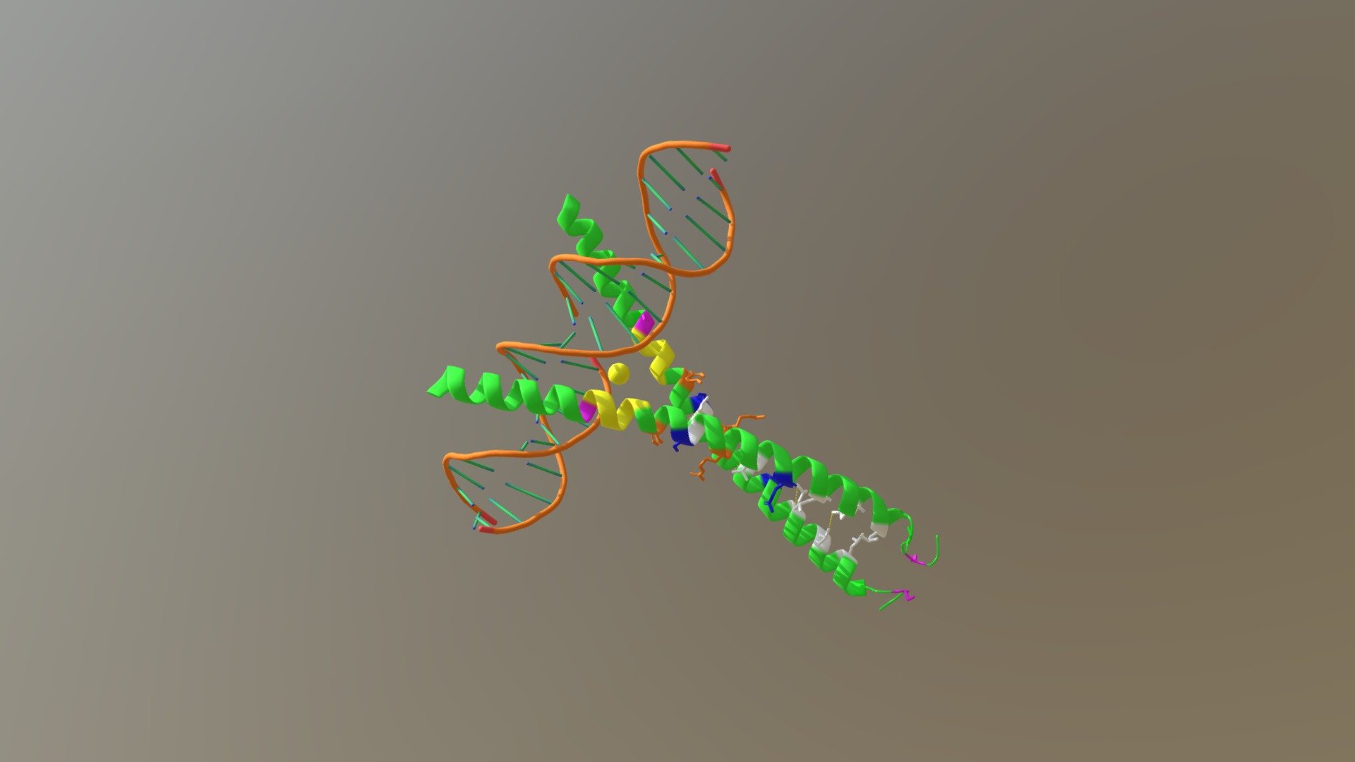 1DH3 - CREB1 bZip DNA and CRTC2 Interactions - 3D model by erincutts ...