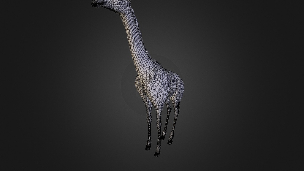 Giraffe - 3D model by altonkwok [20fba96] - Sketchfab