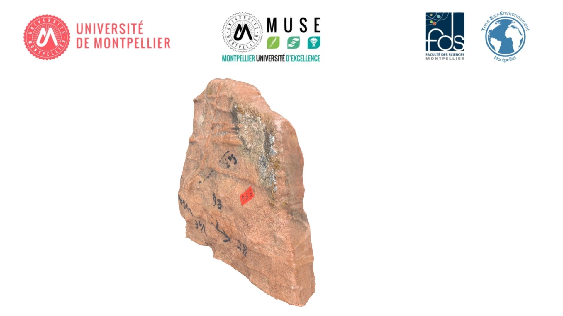 Compactive cataclastic shear bands n° 0584 - 3D model by Université ...