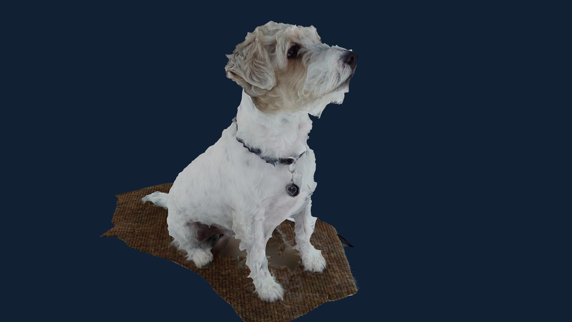 Moochie 3D scan by QuickPic3D.com QP104HR - 3D model by QuickPic3d ...