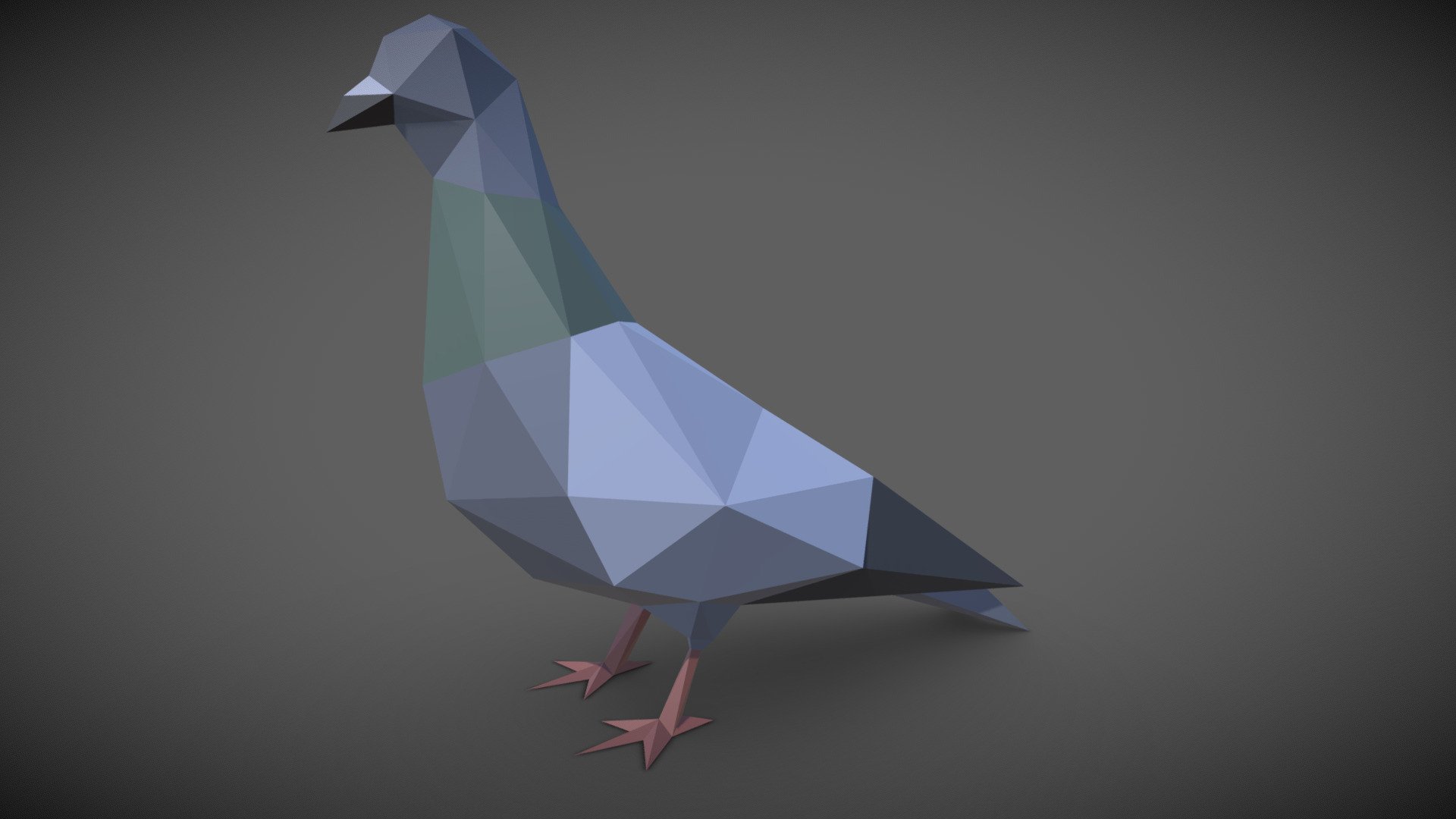 Bird - Pigeon - Buy Royalty Free 3D model by Łukasz Paraszka ...