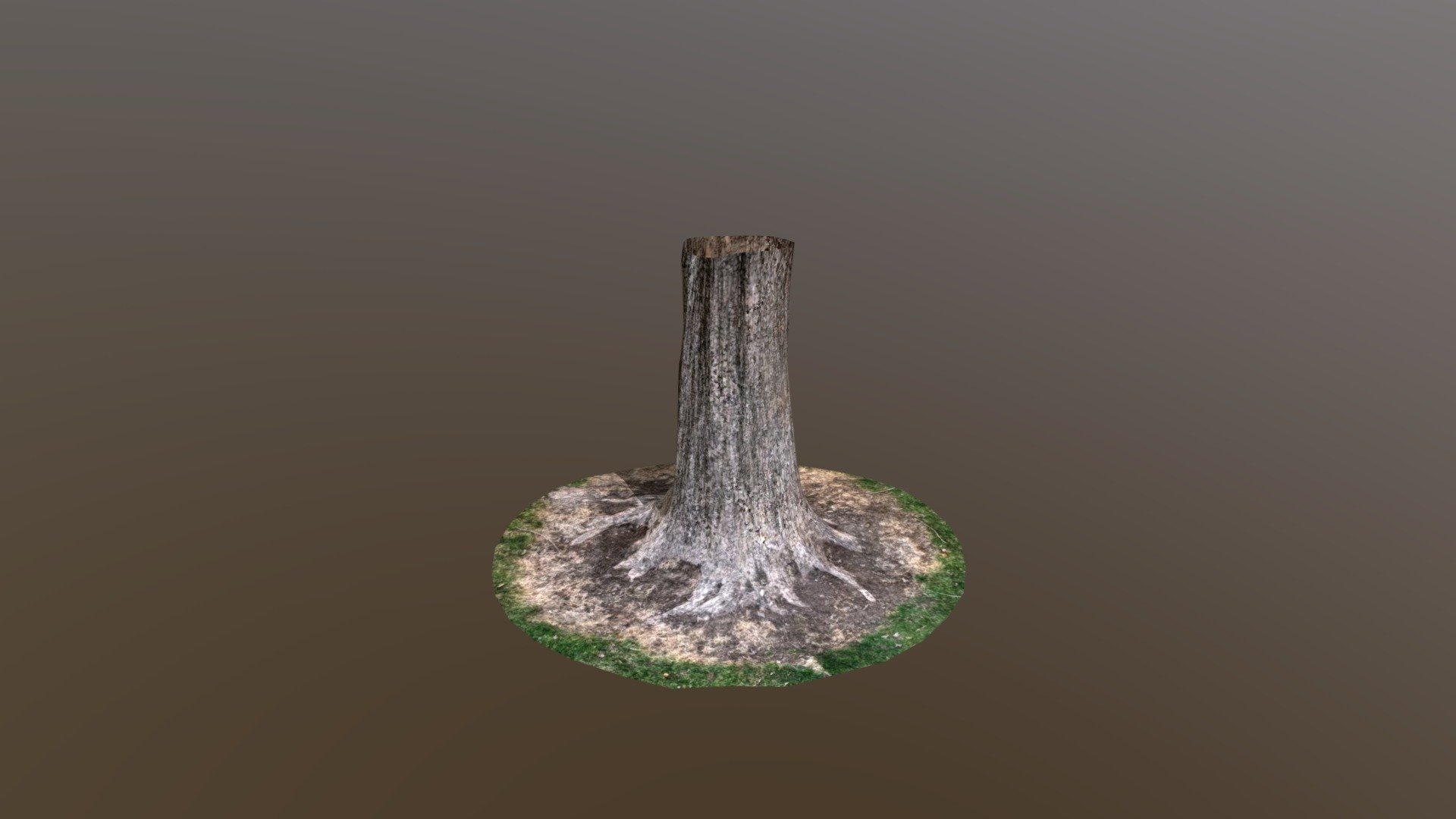 Large Oak Tree Trunk Base Photogrammetry - Download Free 3D model by ...