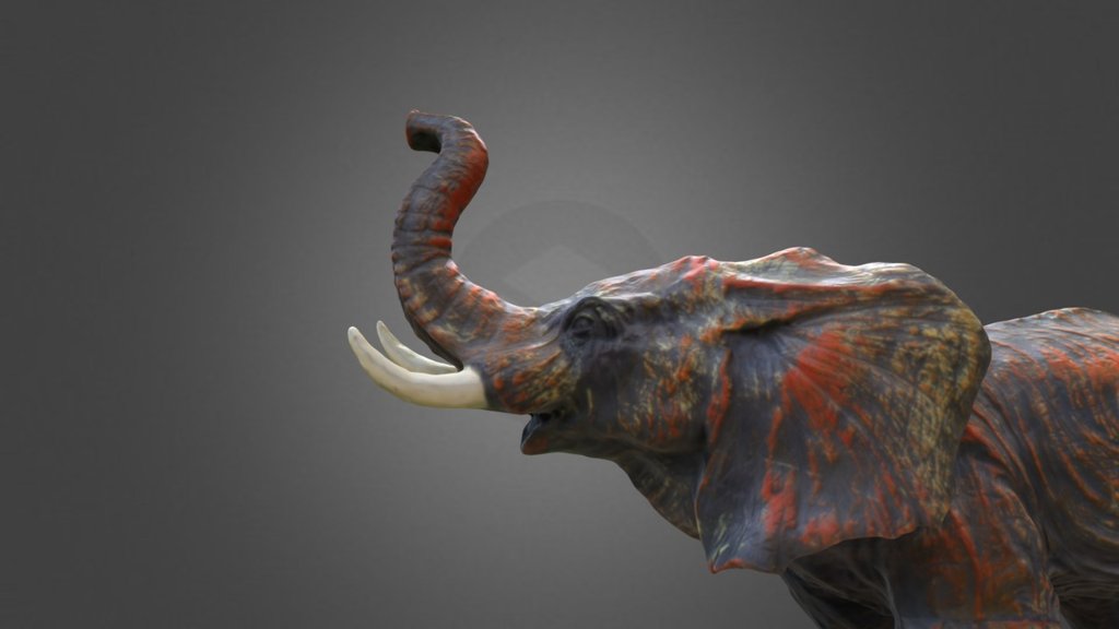 Elephant - 3D model by dimax89 [212195a] - Sketchfab