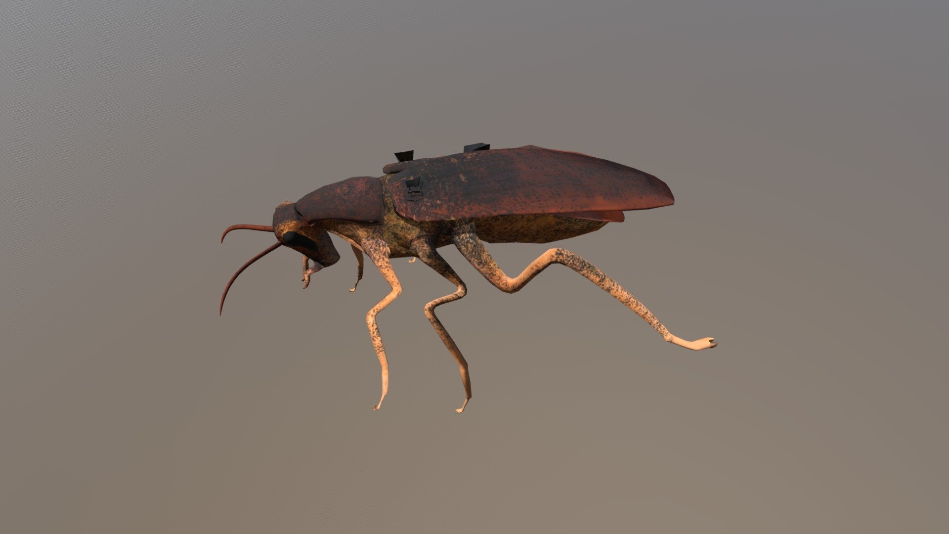 Cockroach - Buy Royalty Free 3D model by 3dlowpoly [2122a2e ...