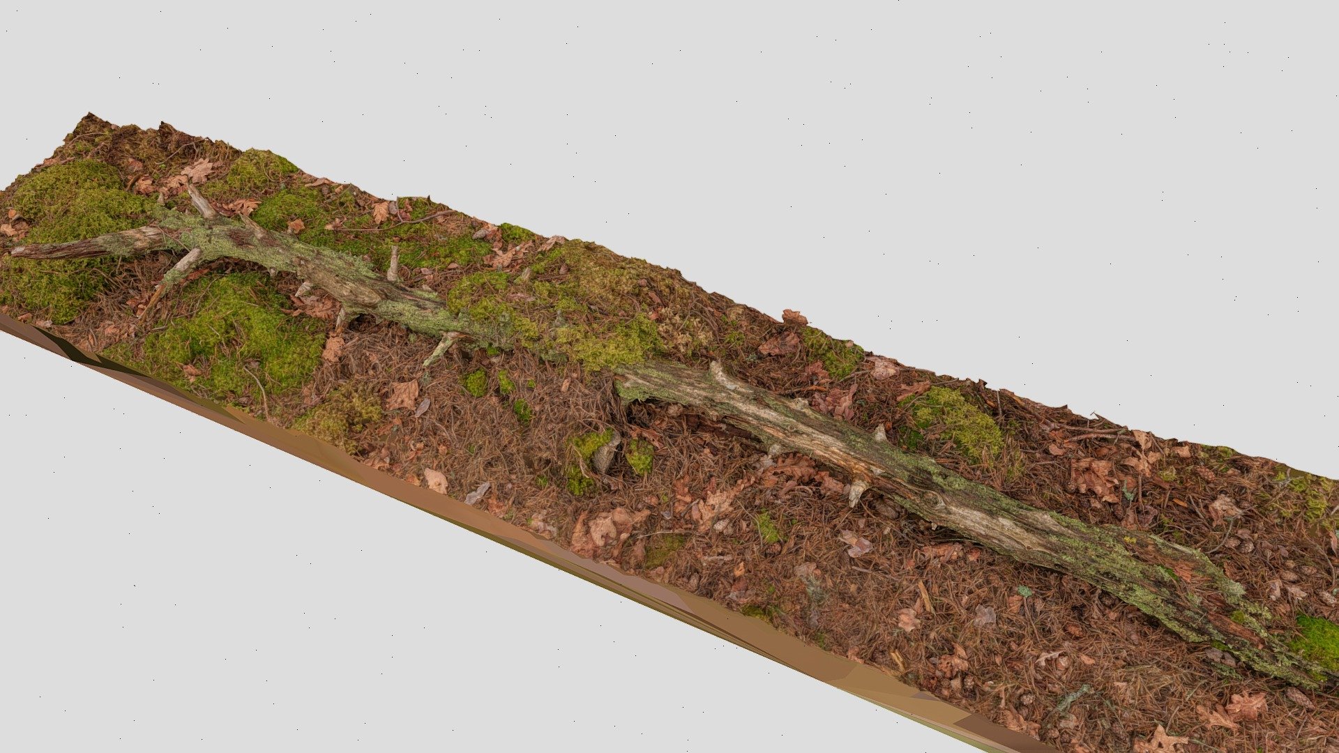 Fallen pine tree - Download Free 3D model by kjetil myhren ...