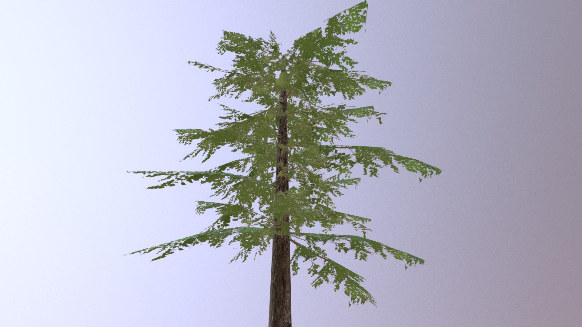 Tree - 3D model by Colton (@cgreer) [212b990] - Sketchfab