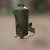 ROKS-3 Flamethrower - Download Free 3D model by Yoni Van Gucht ...