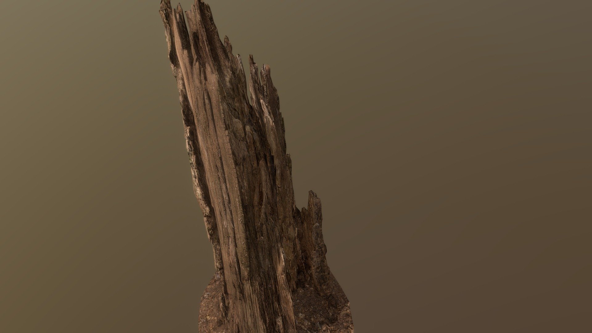 4k Tree stump (megascan) - Download Free 3D model by Lokaton [213702c ...
