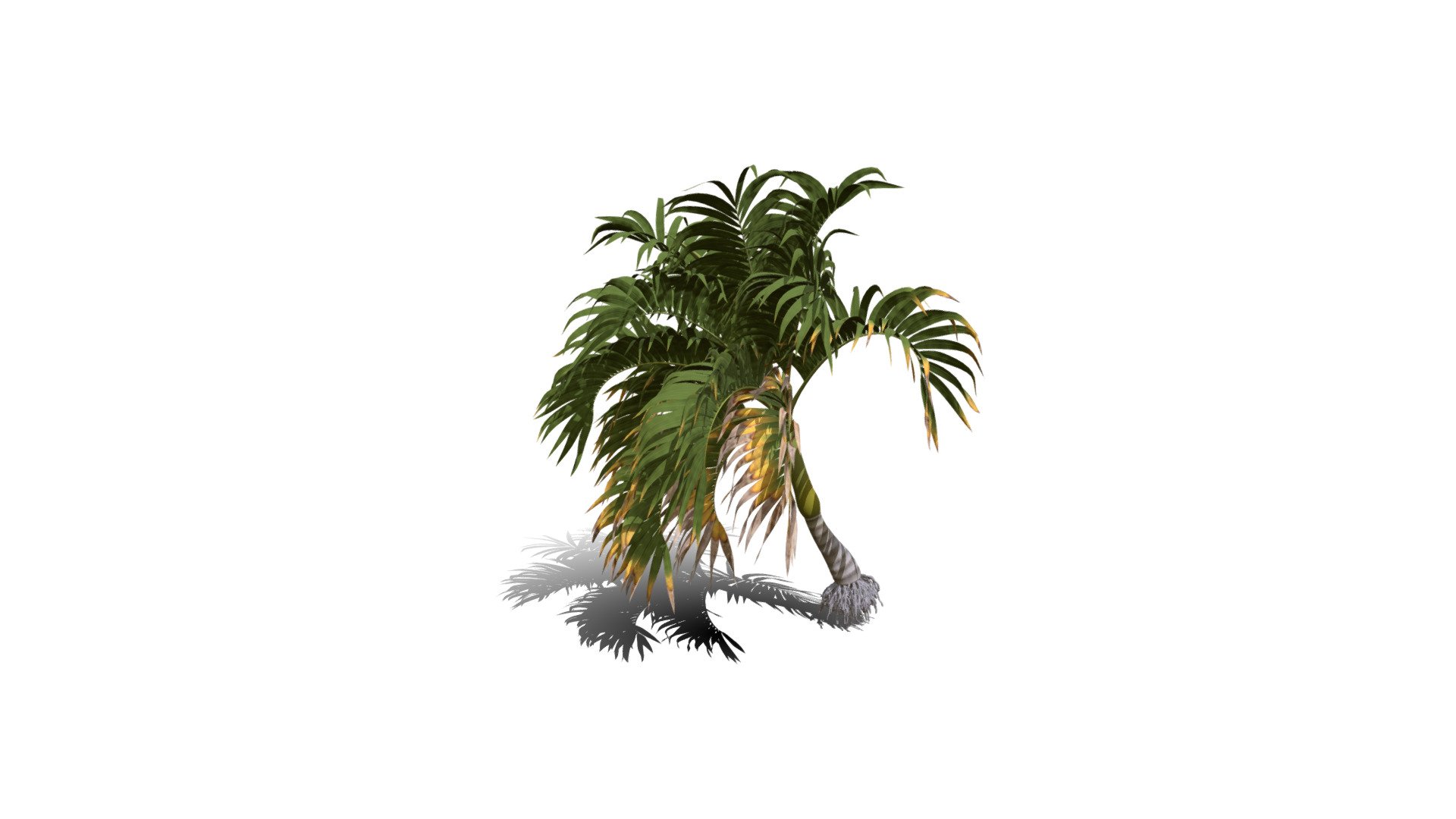 Realistic HD Christmas palm (16/35) - Download Free 3D model by ...