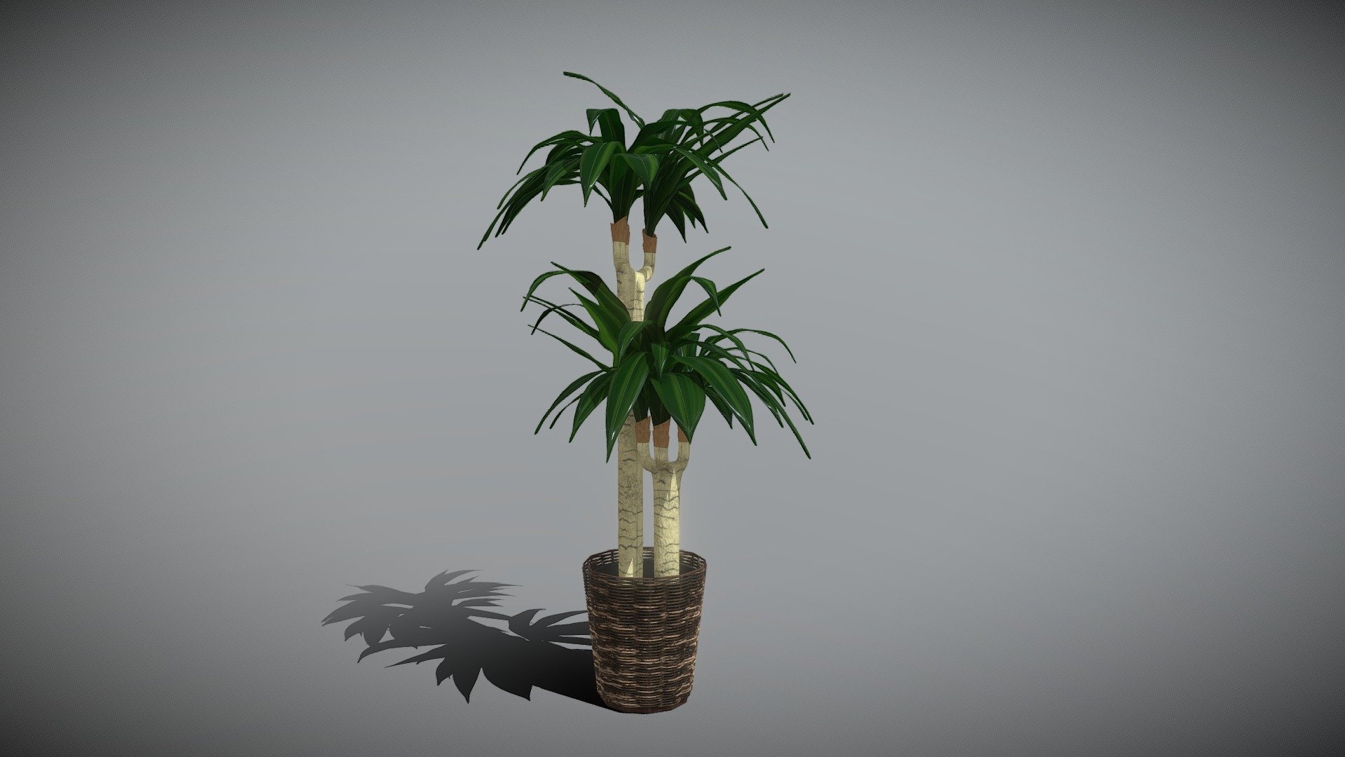 Fake Potted Plant - Download Free 3D model by amhyde [213a087] - Sketchfab
