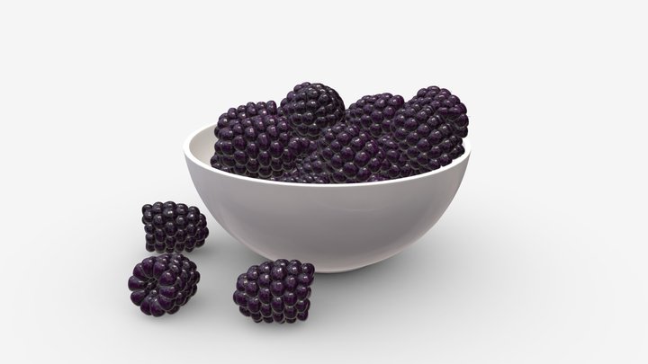 Bramble 3D models - Sketchfab