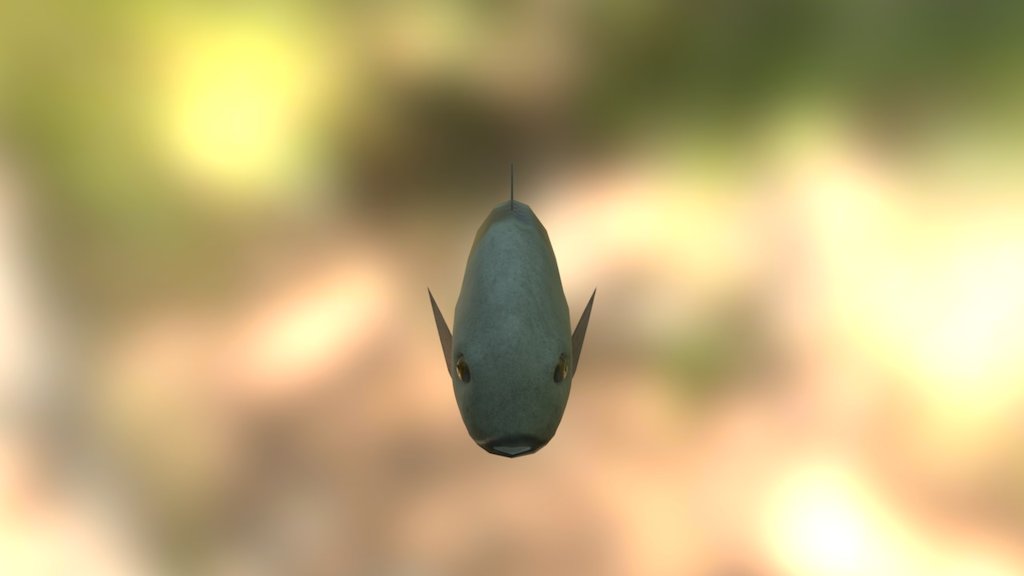 sheepsHead - 3D model by thesosoeverything [214cbcd] - Sketchfab