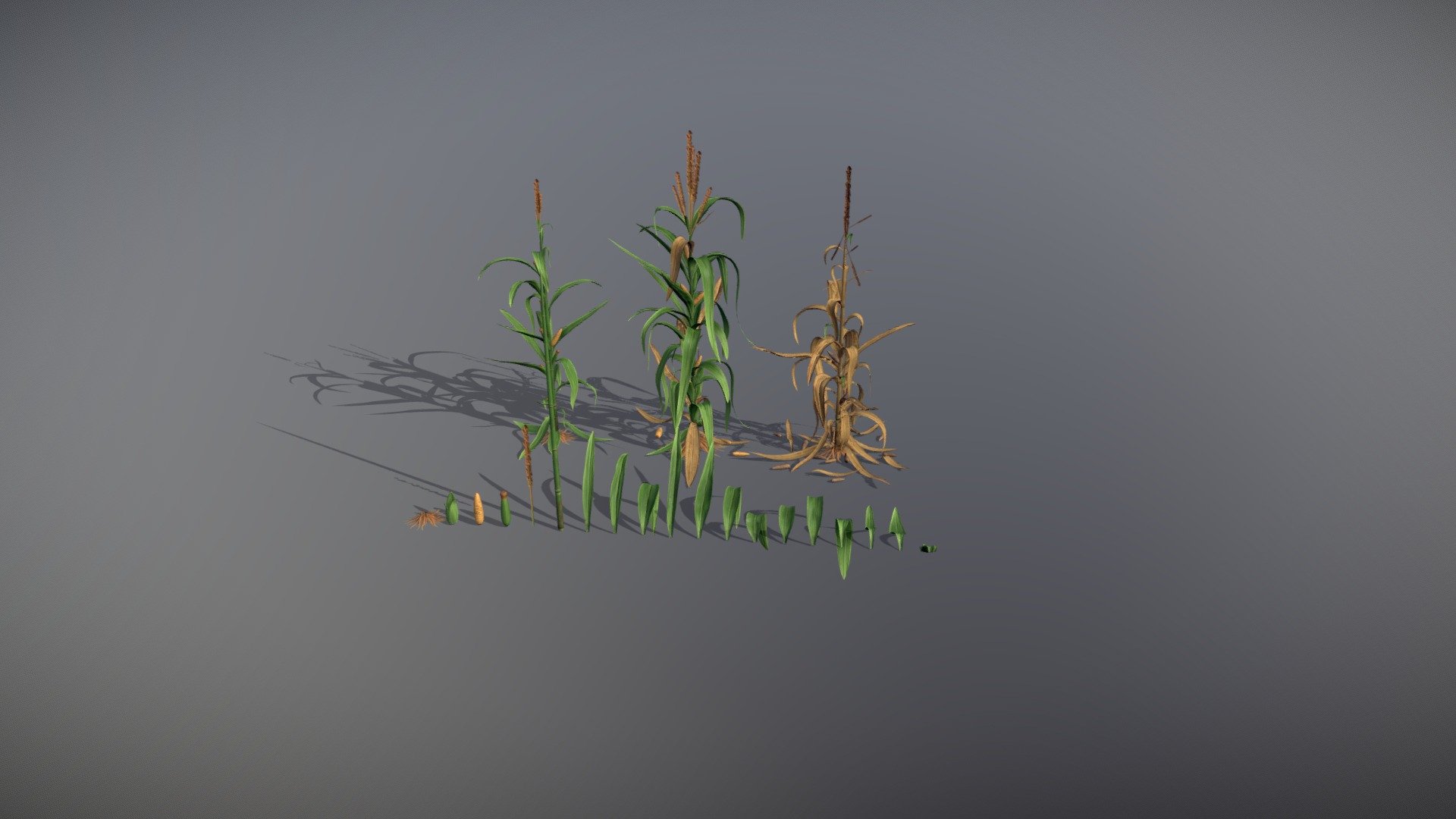 Modular Corn - Buy Royalty Free 3D model by RomaVFX [214eb10] - Sketchfab Store