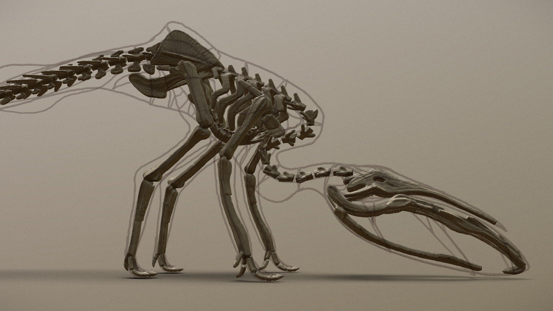 Basking dragon ver1 - skeleton - 3D model by sy-kim [2150371] - Sketchfab
