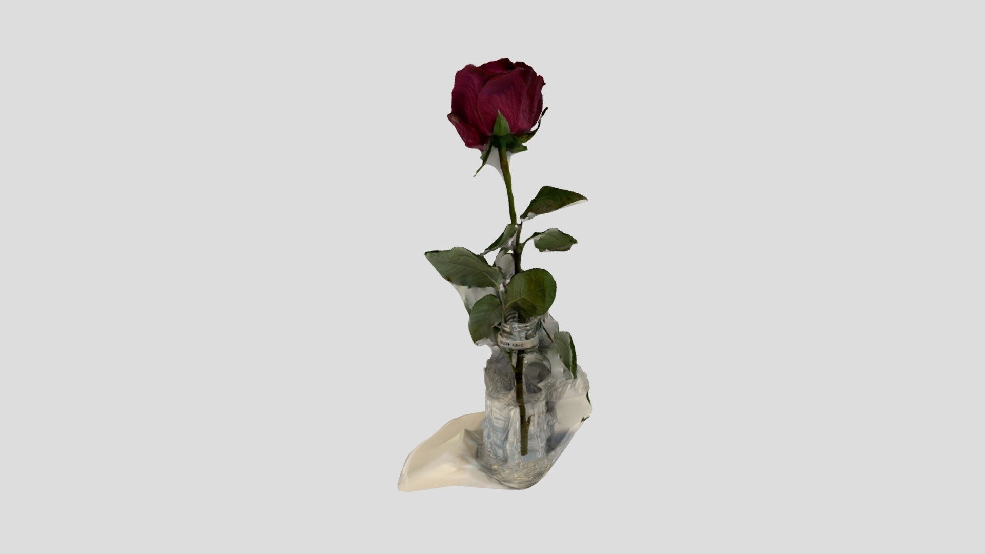 Rose2 - Download Free 3D model by kitasenjudesign [215a24b] - Sketchfab