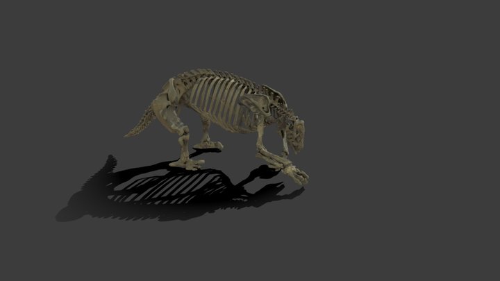 Terrestrial-mammals 3D models - Sketchfab