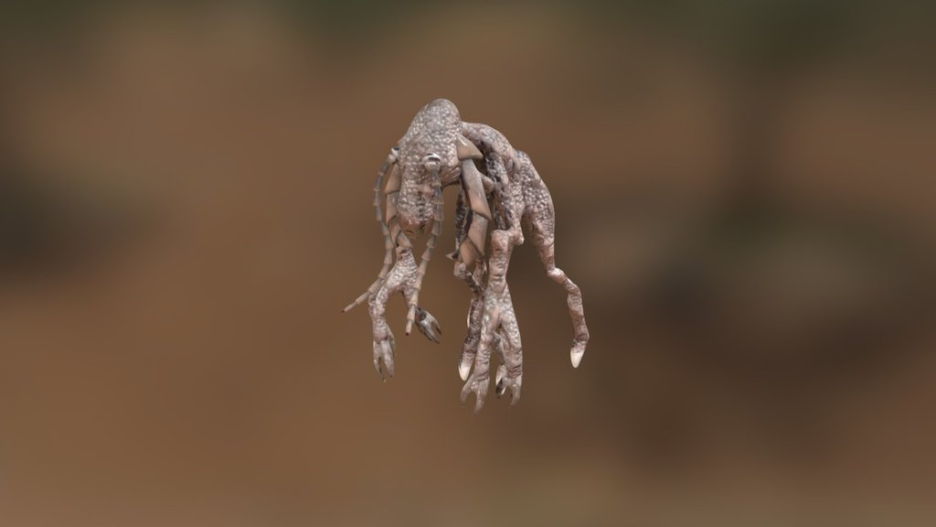 Ciura - 3D model by Mx3 [21688f8] - Sketchfab