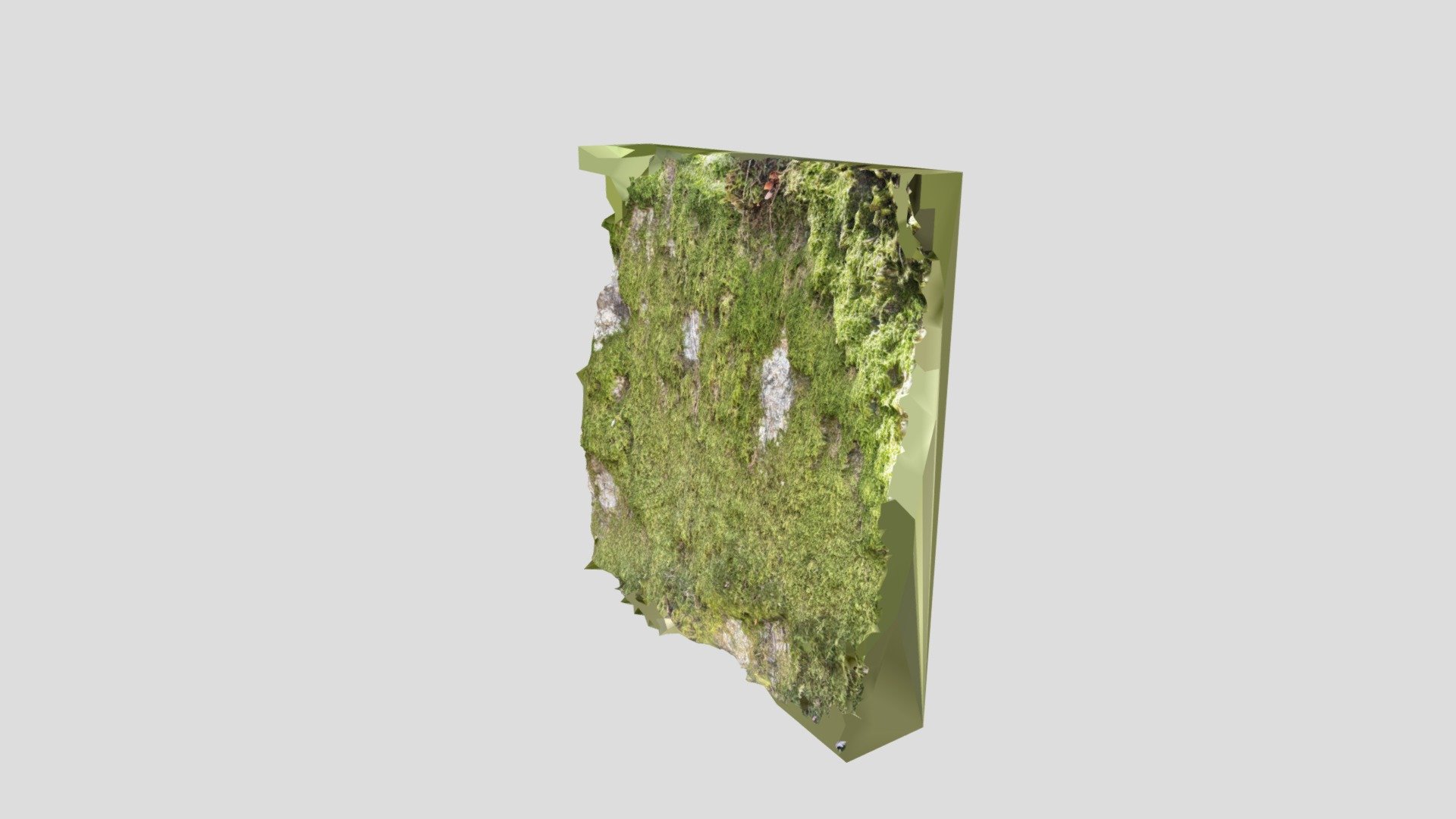Forest_Tyresta_Detail_Moss_01 - Download Free 3D model by Andrew Svanberg Hamilton (@andrew ...