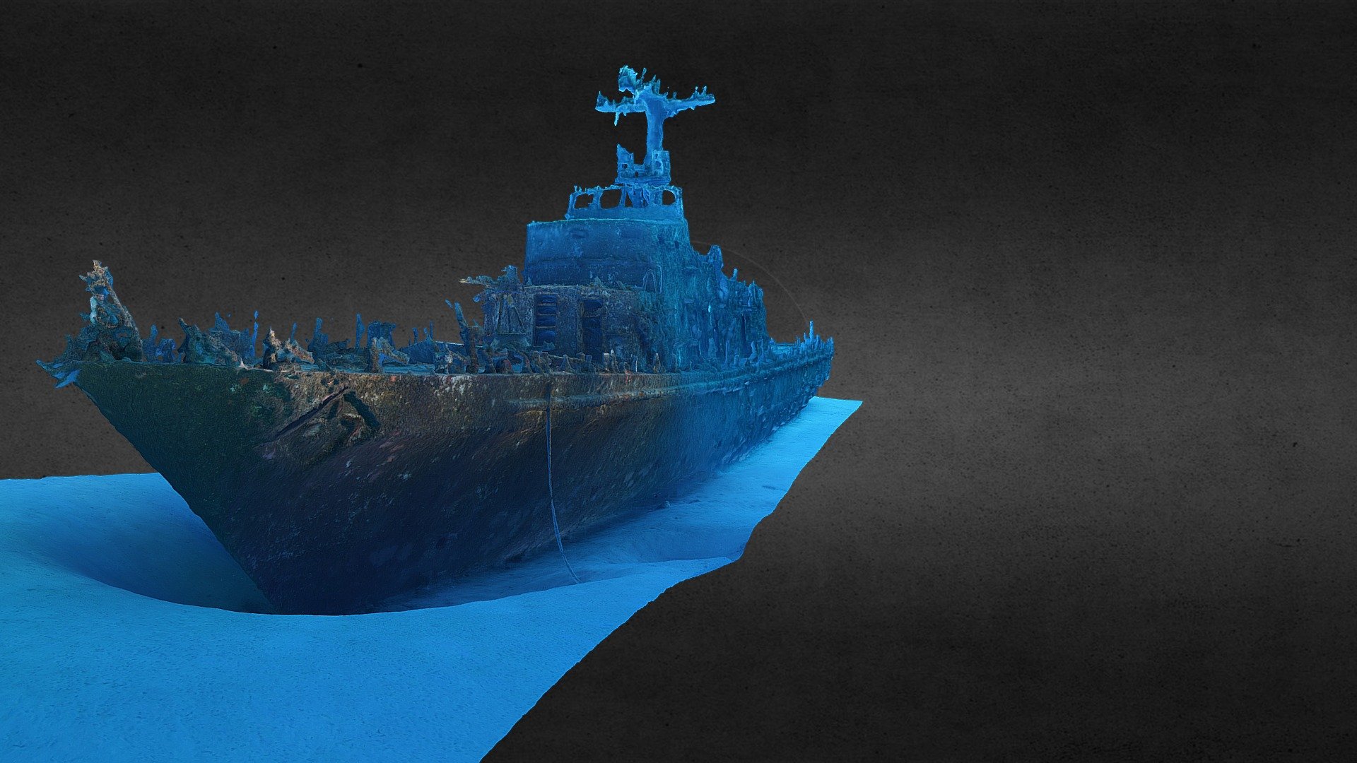 P29 - 3D model by Seashelldivecentre [2177b11] - Sketchfab