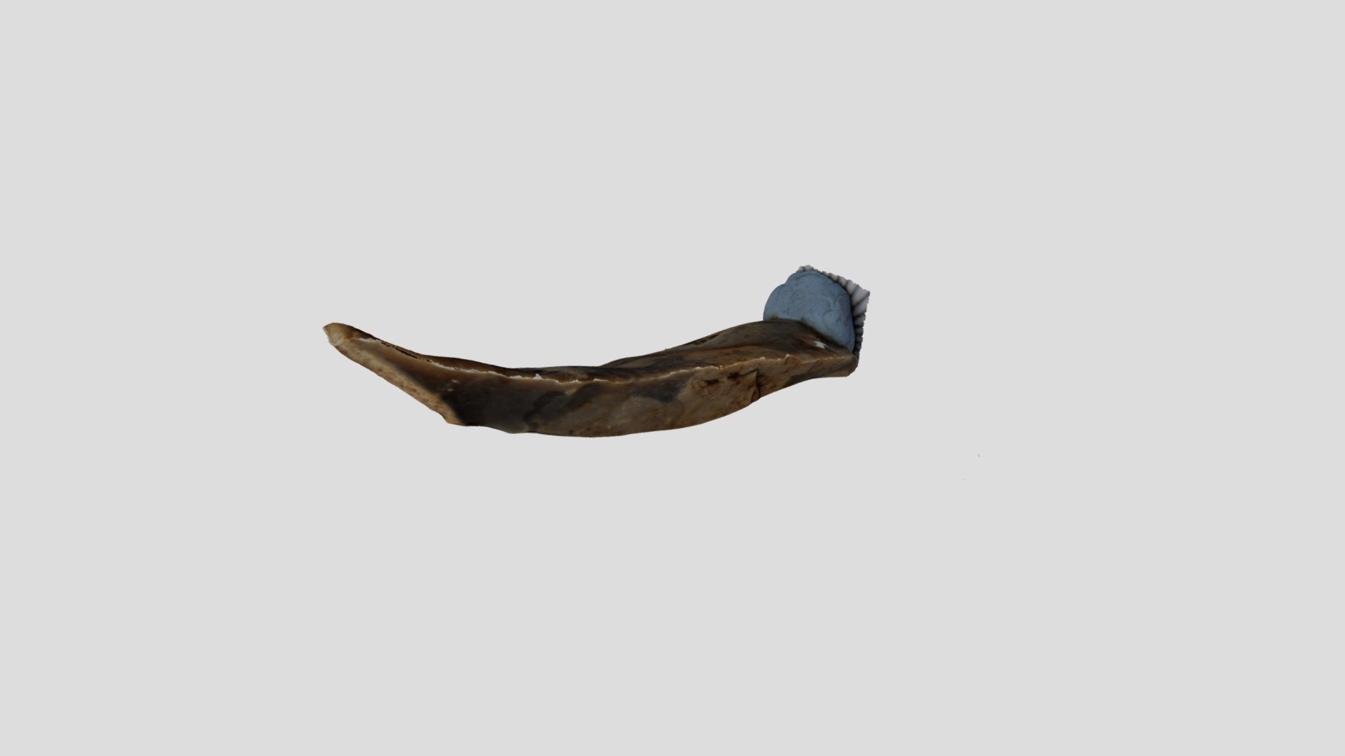 E238_13 Early Neolithic knife - 3D model by adam_winter_ [218988a ...