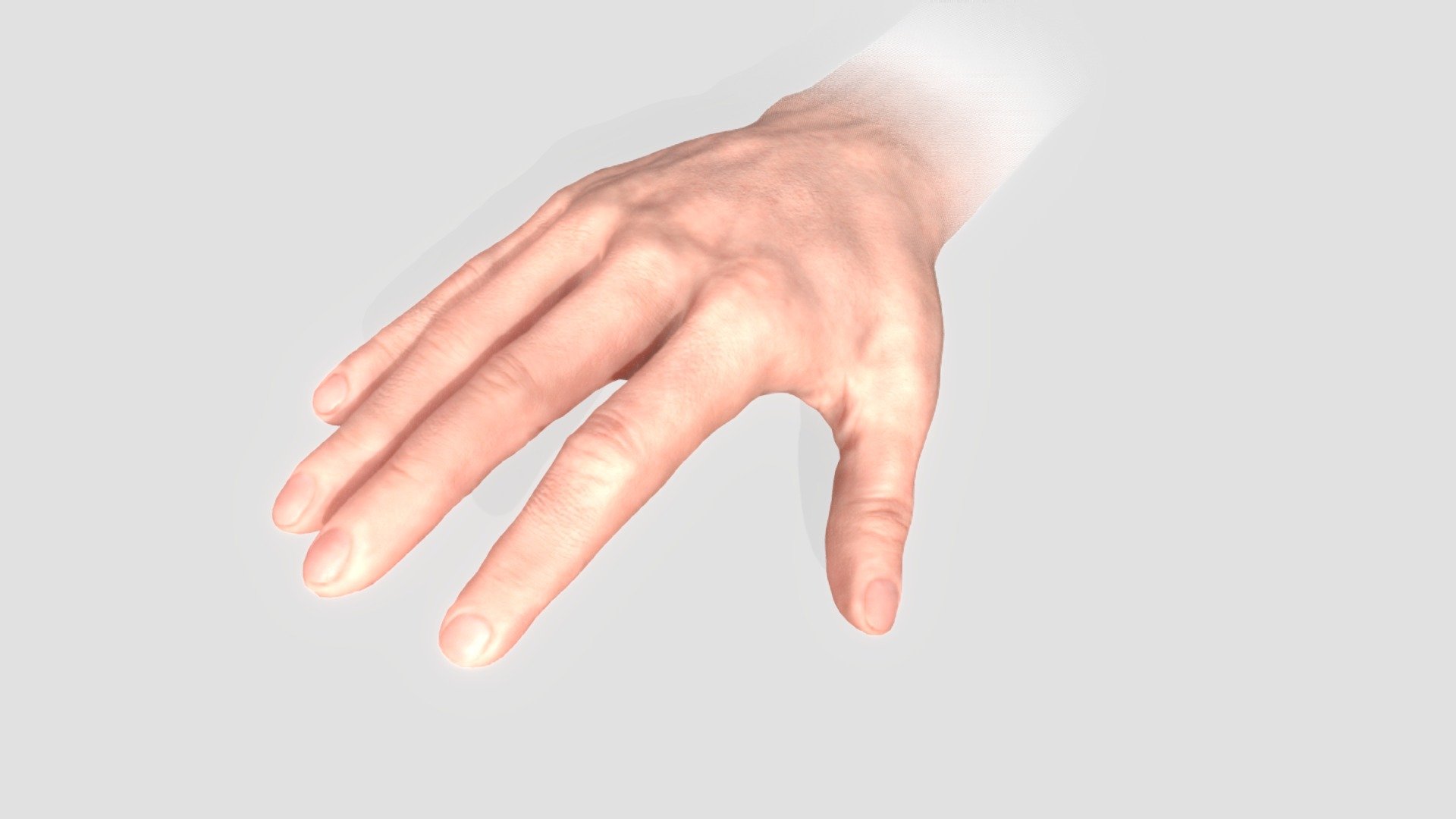Human Hand Low-poly 3D model - Buy Royalty Free 3D model by Andrew ...