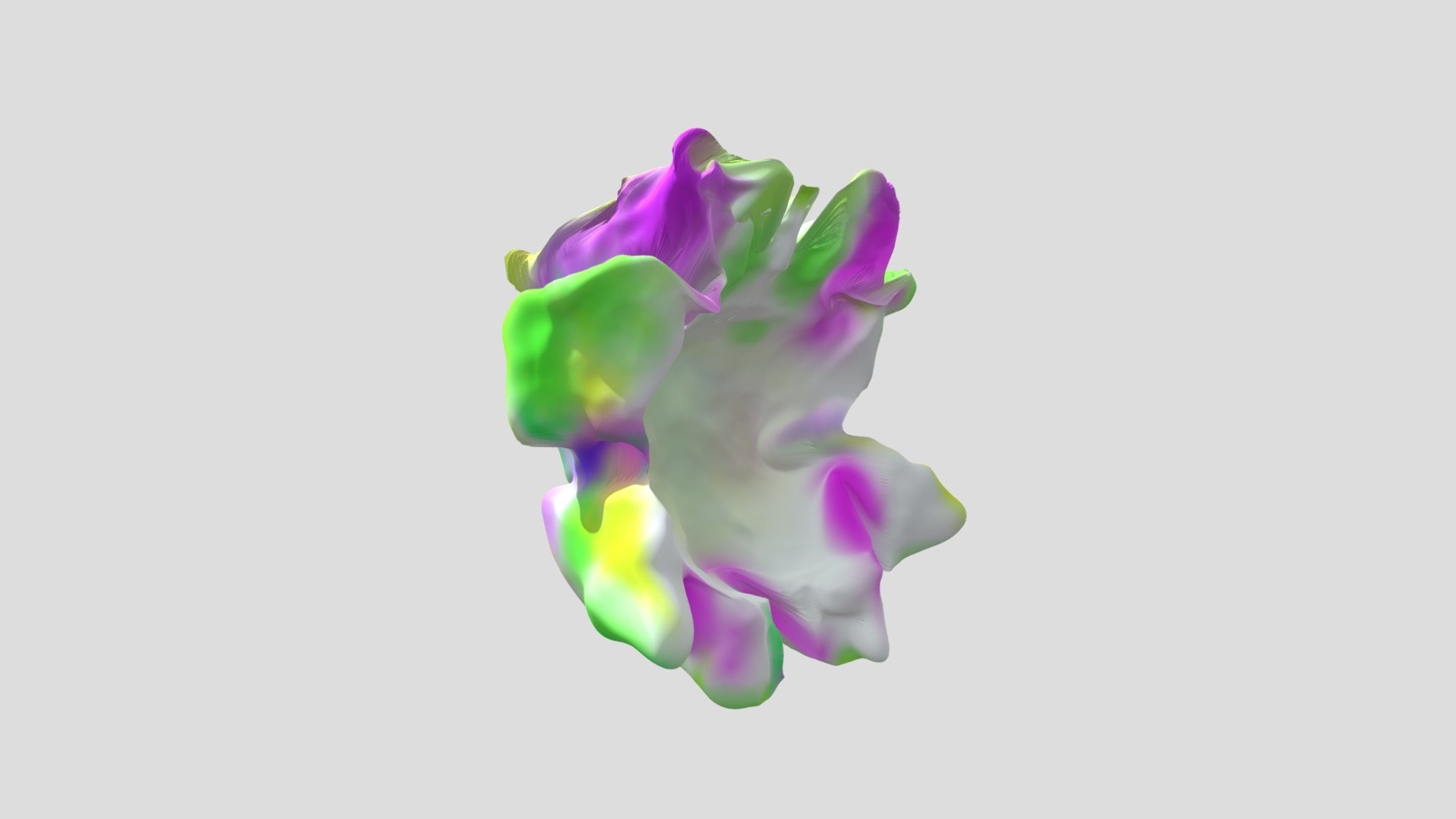 rainbow shell - 3D model by katelab [21a27de] - Sketchfab