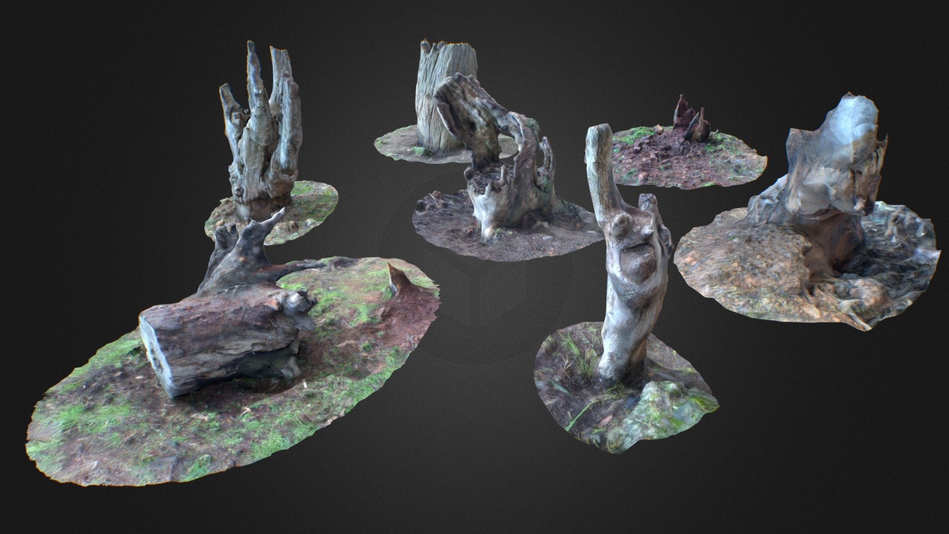 dead forest creepy tree stumps for background1 - Buy Royalty Free 3D ...