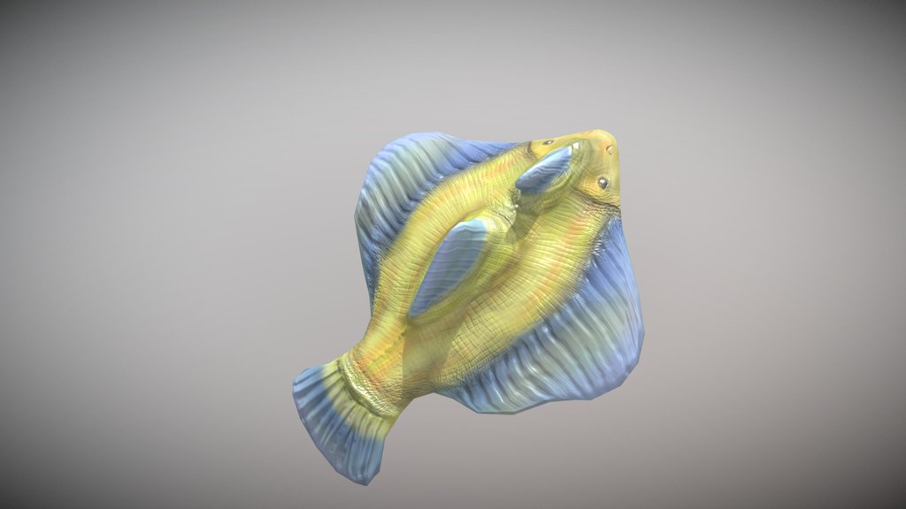 Rigged Fish - A 3D model collection by LizardSquare - Sketchfab
